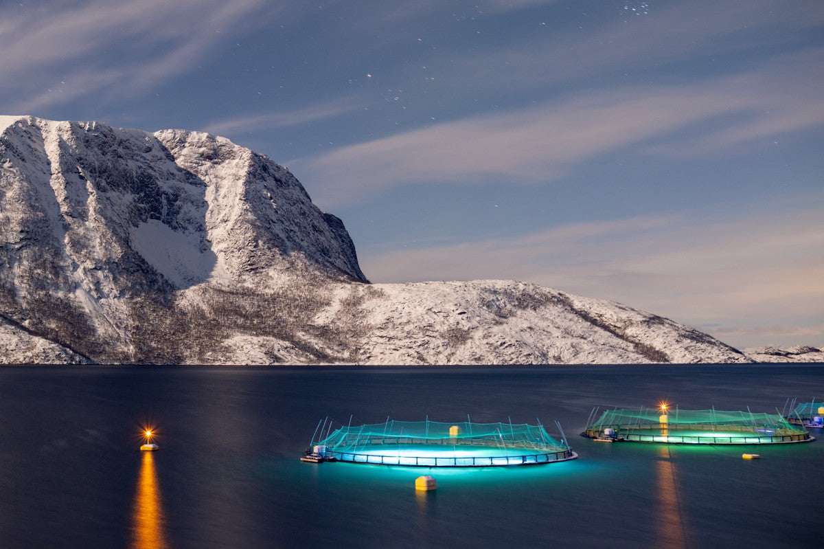 Fish pens across Lundøya under a full moon – Grasshopper Geography