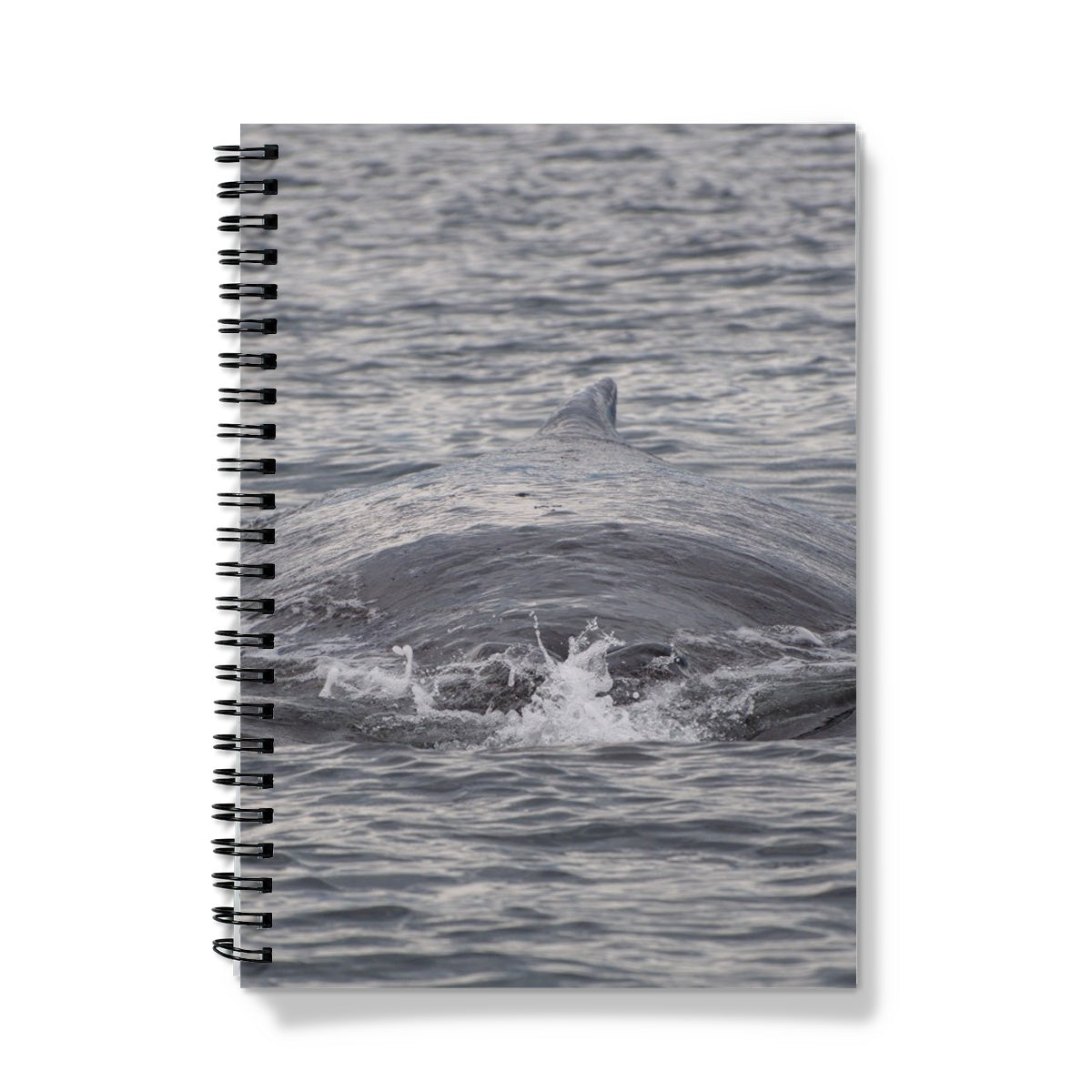 Beast - Notebook – Grasshopper Geography