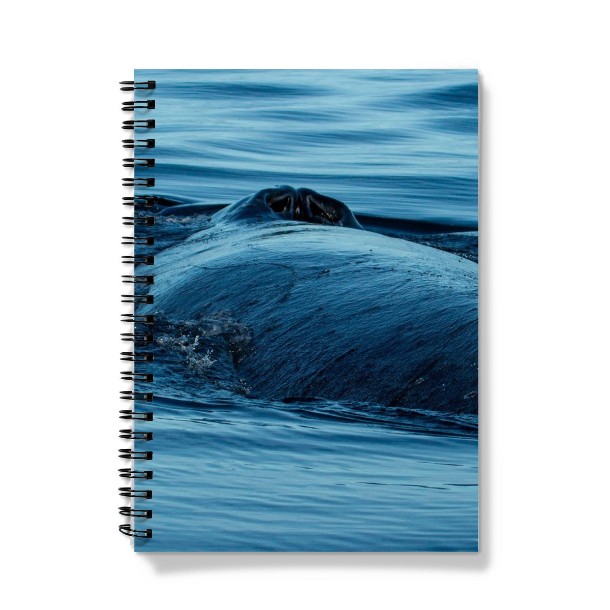 Deep breath - Notebook – Grasshopper Geography