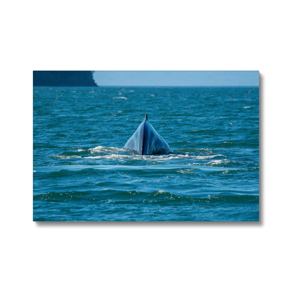 Deep dive I - Canvas – Grasshopper Geography