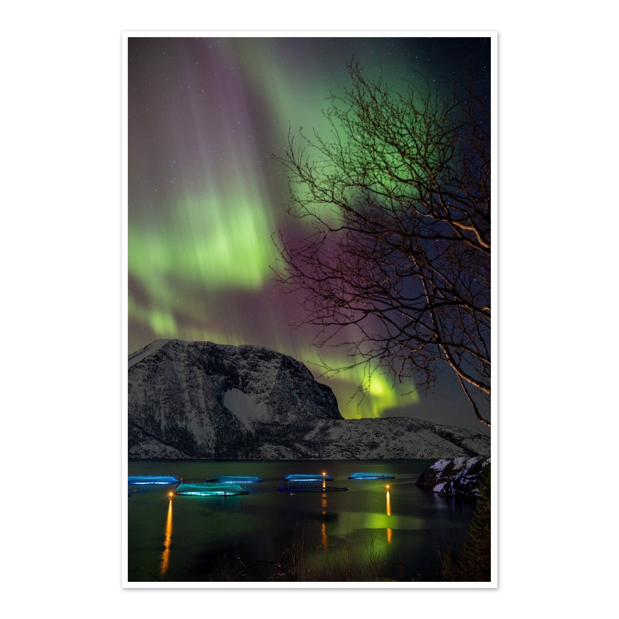 Fish pens across Lundøya with aurora II - Photo Art Print – Grasshopper ...