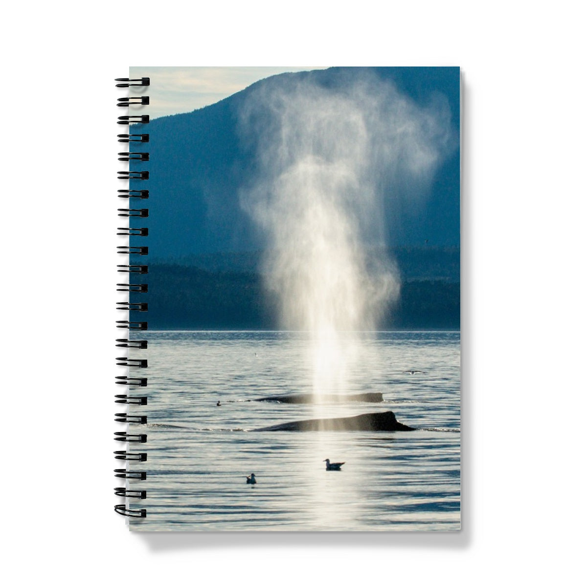 Mist - Notebook – Grasshopper Geography