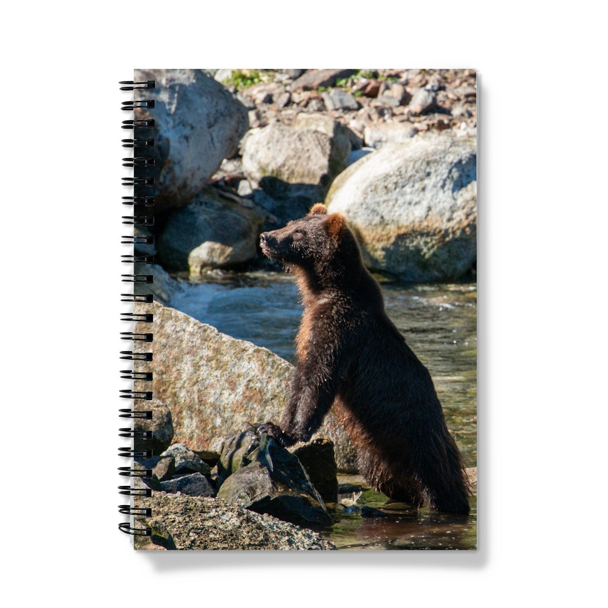 Nice catch - Notebook – Grasshopper Geography