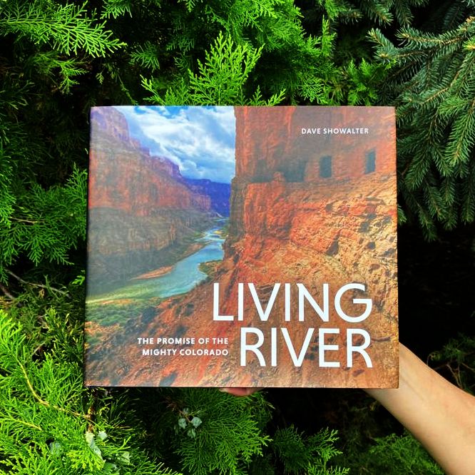 Grasshopper Geography - Artistic maps by a geographer