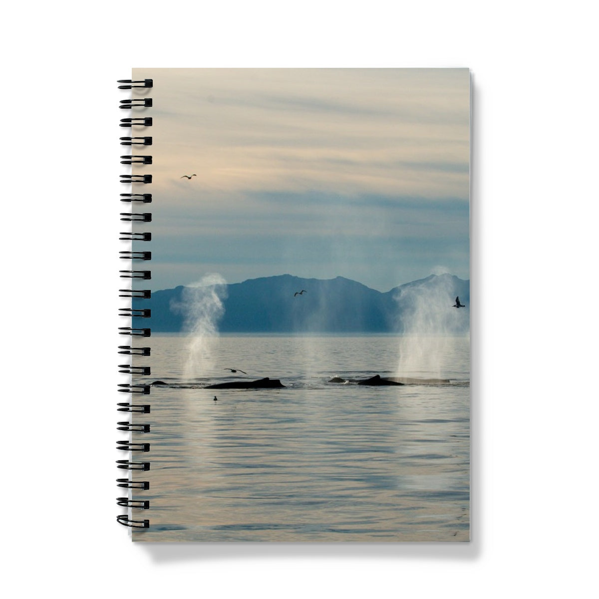 Silhouettes - Notebook – Grasshopper Geography