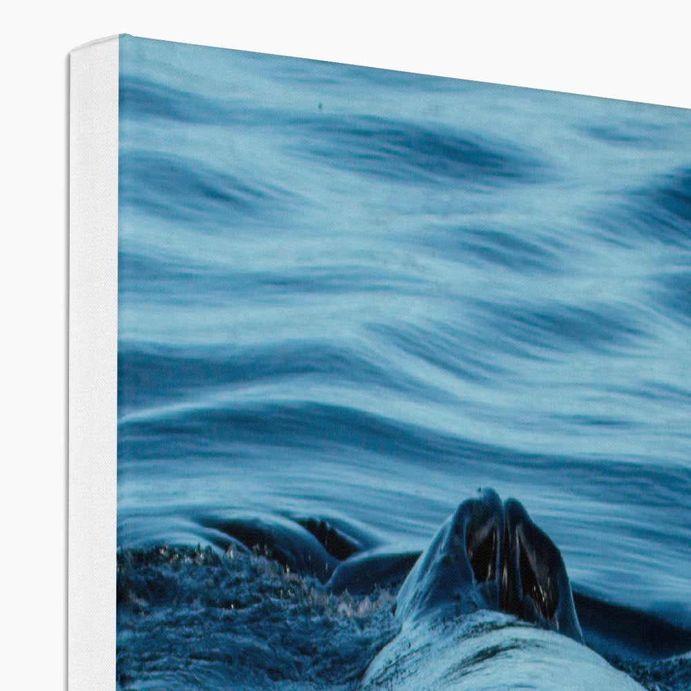 Deep breath - Canvas – Grasshopper Geography