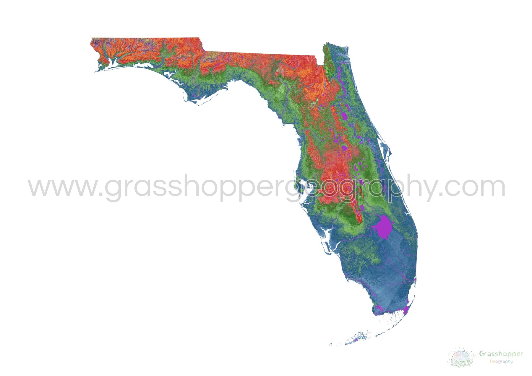 Florida - Elevation map, white - Fine Art Print – Grasshopper Geography