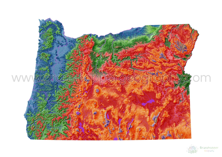 Oregon - Elevation map, white - Fine Art Print – Grasshopper Geography